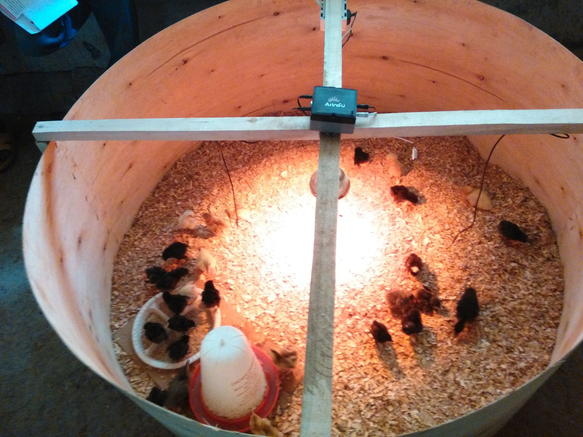 Arinifu Technologies Ltd: Climate smart chicken farming - UpLink ...