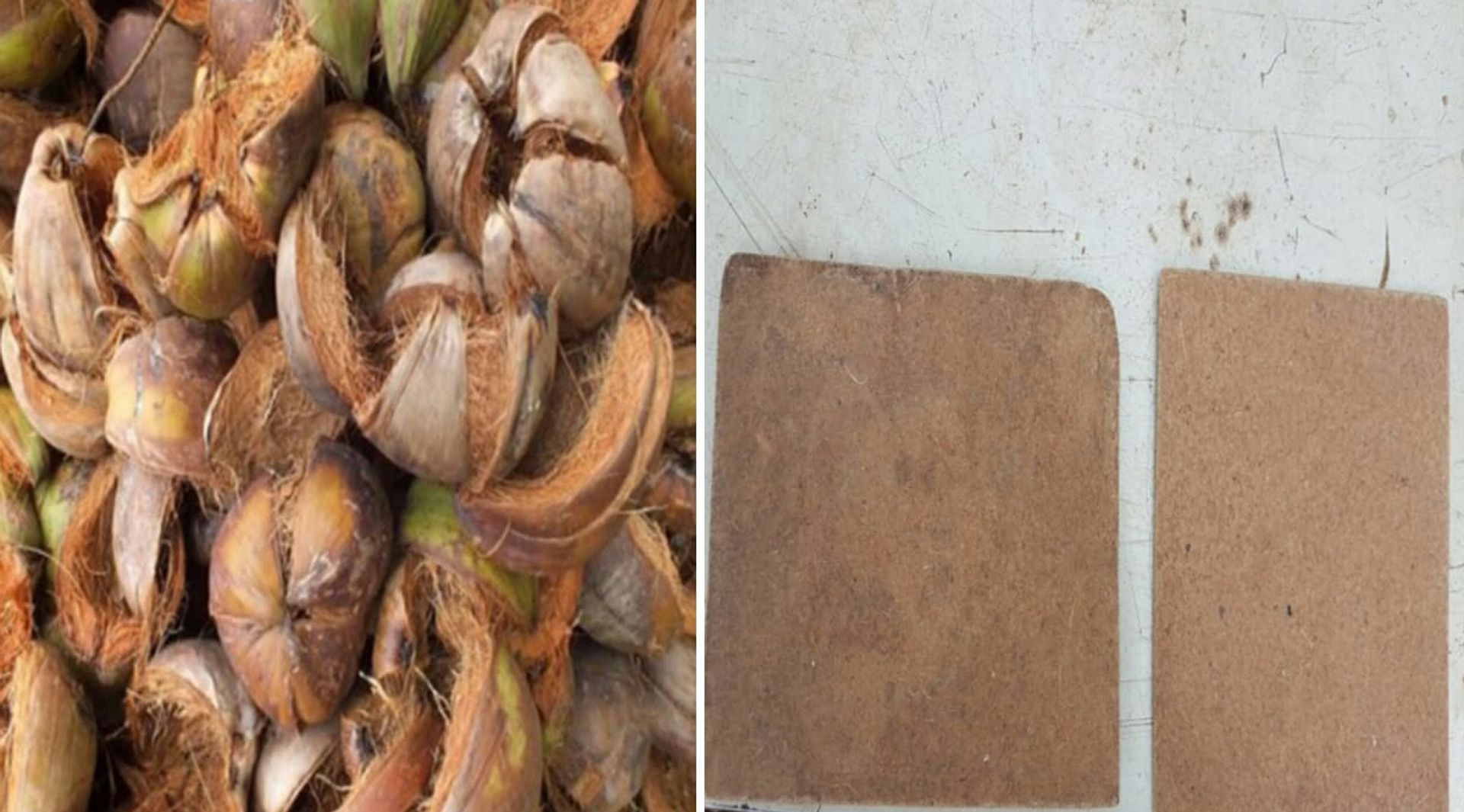 Ecovon: Biodegradable building and packaging materials made from ...