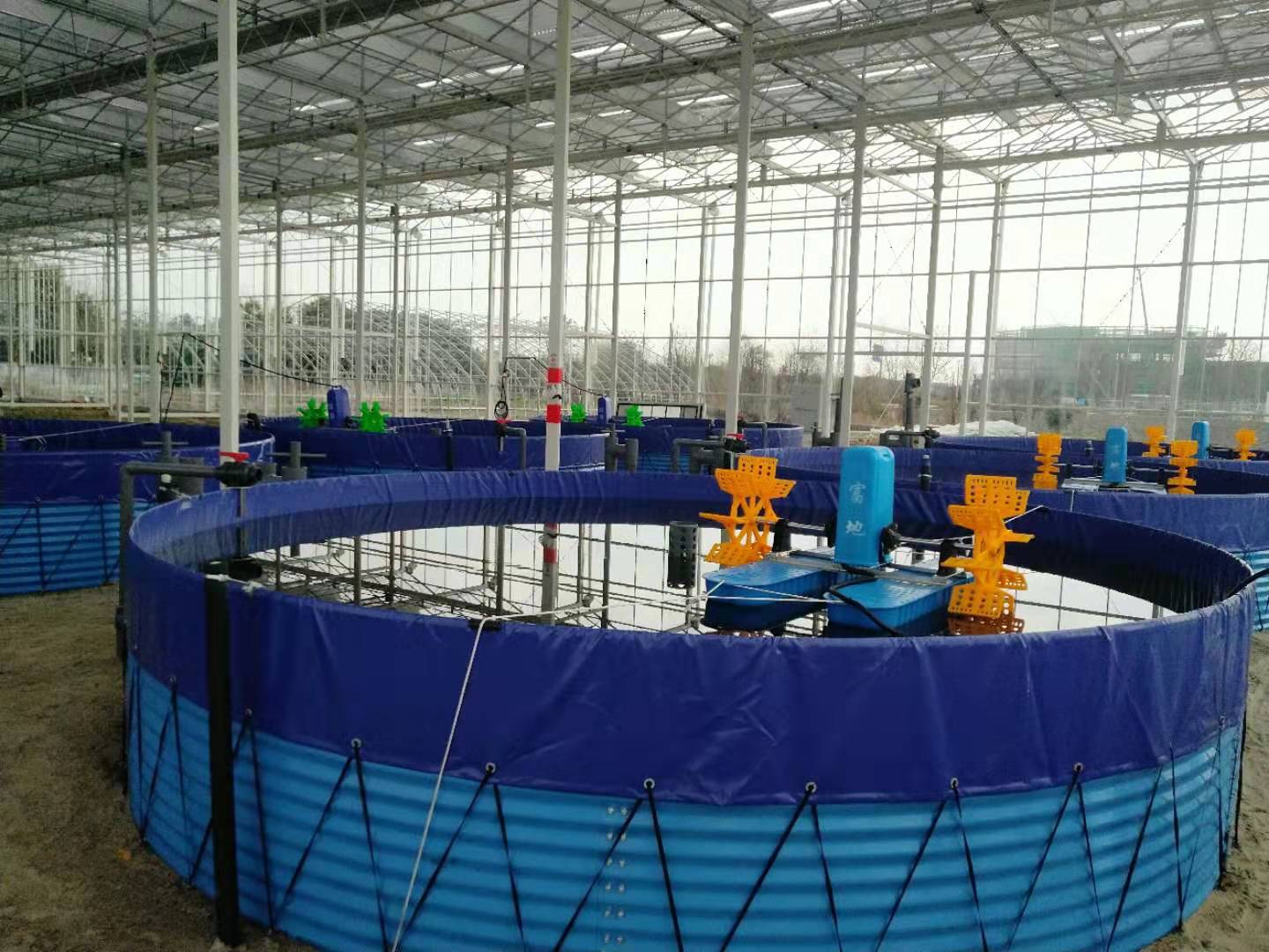 BioFishency Ltd.: Sustainable RAS Aquaculture Water Treatment Solutions ...