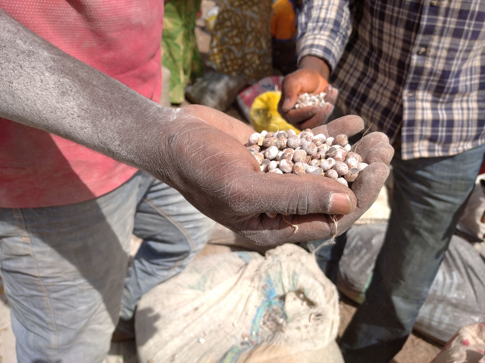 Reno Emcore Apex Resources Limited: Utilizing the Economic Benefit of Baobab Tree (Baobab Seed ...