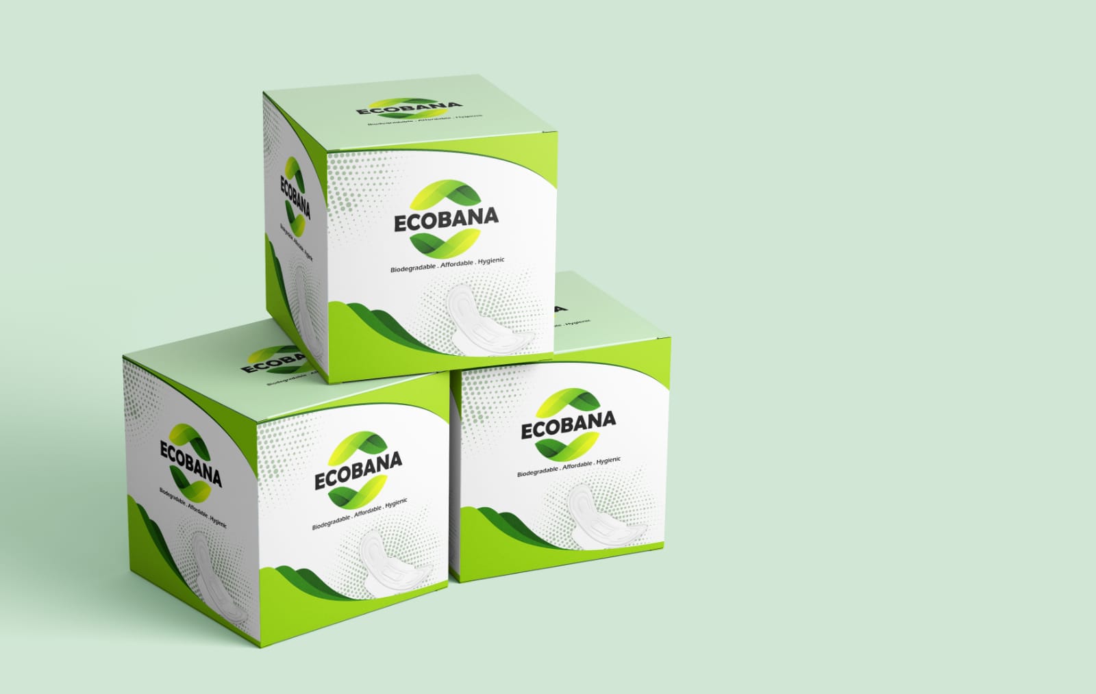 EcoBana Limited: Ecobana: Empowering Kenyan women and girls. - UpLink ...