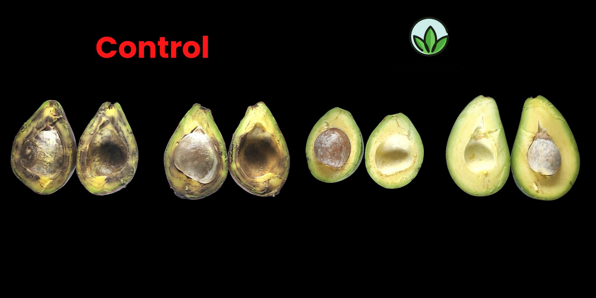 GreenPod Labs: Active Packaging Sachets to Extend the Shelf Life of Wild Fruits and Vegetables ...