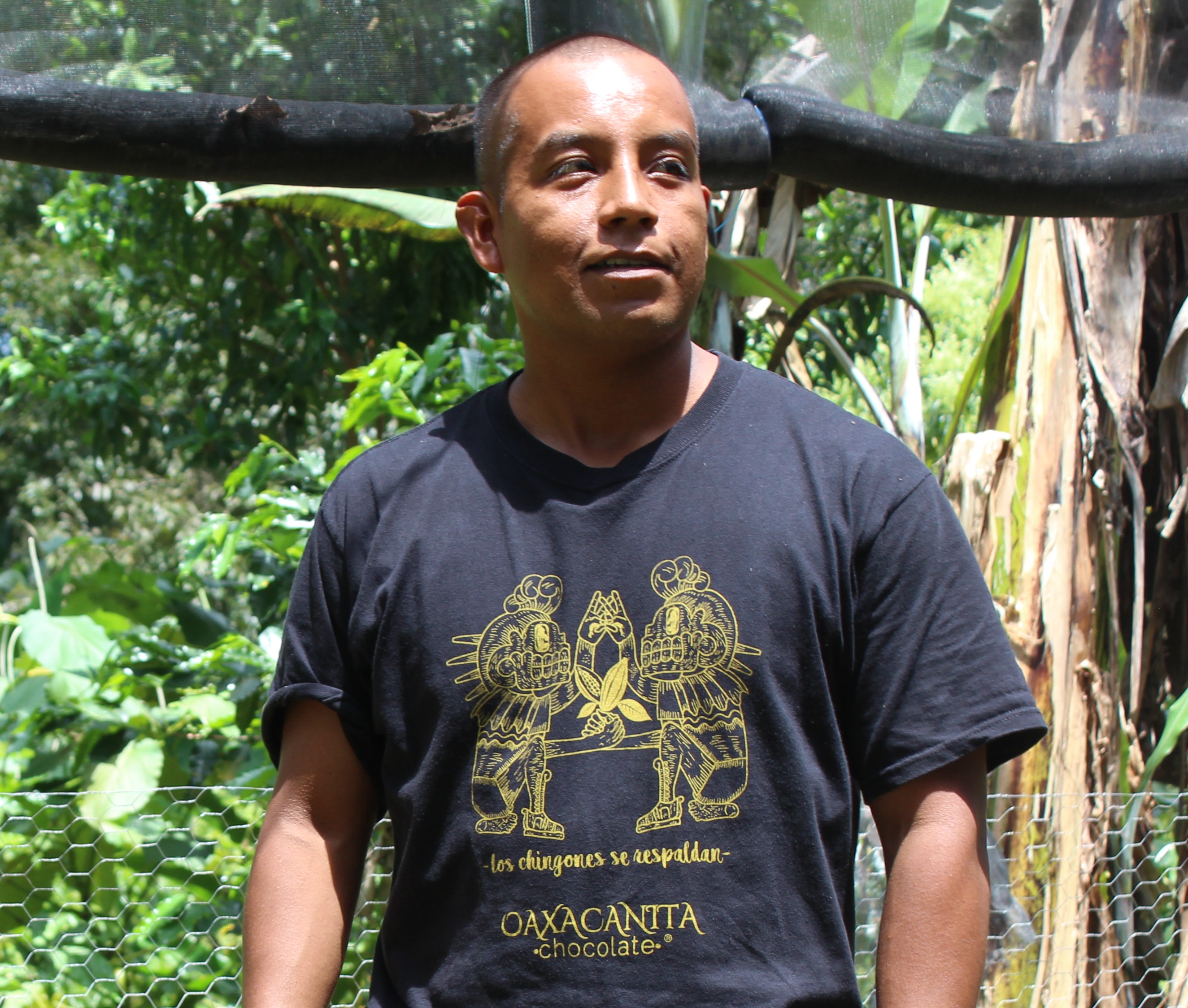 Contribution: Indigenous chocolate tradition of the Mixteca region of Oaxaca