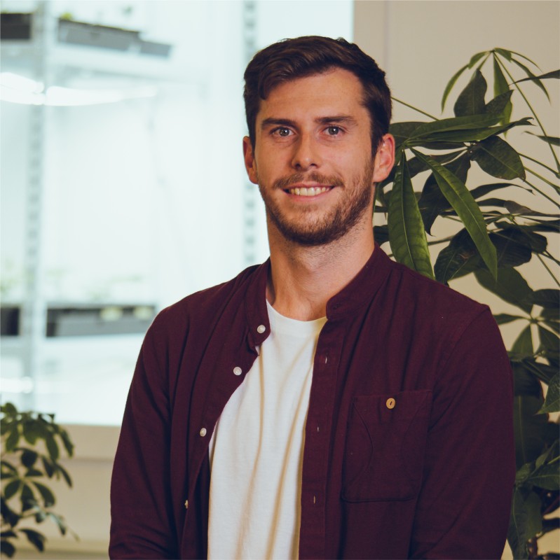 Contribution: Large scale restoration of native forest ecosystems