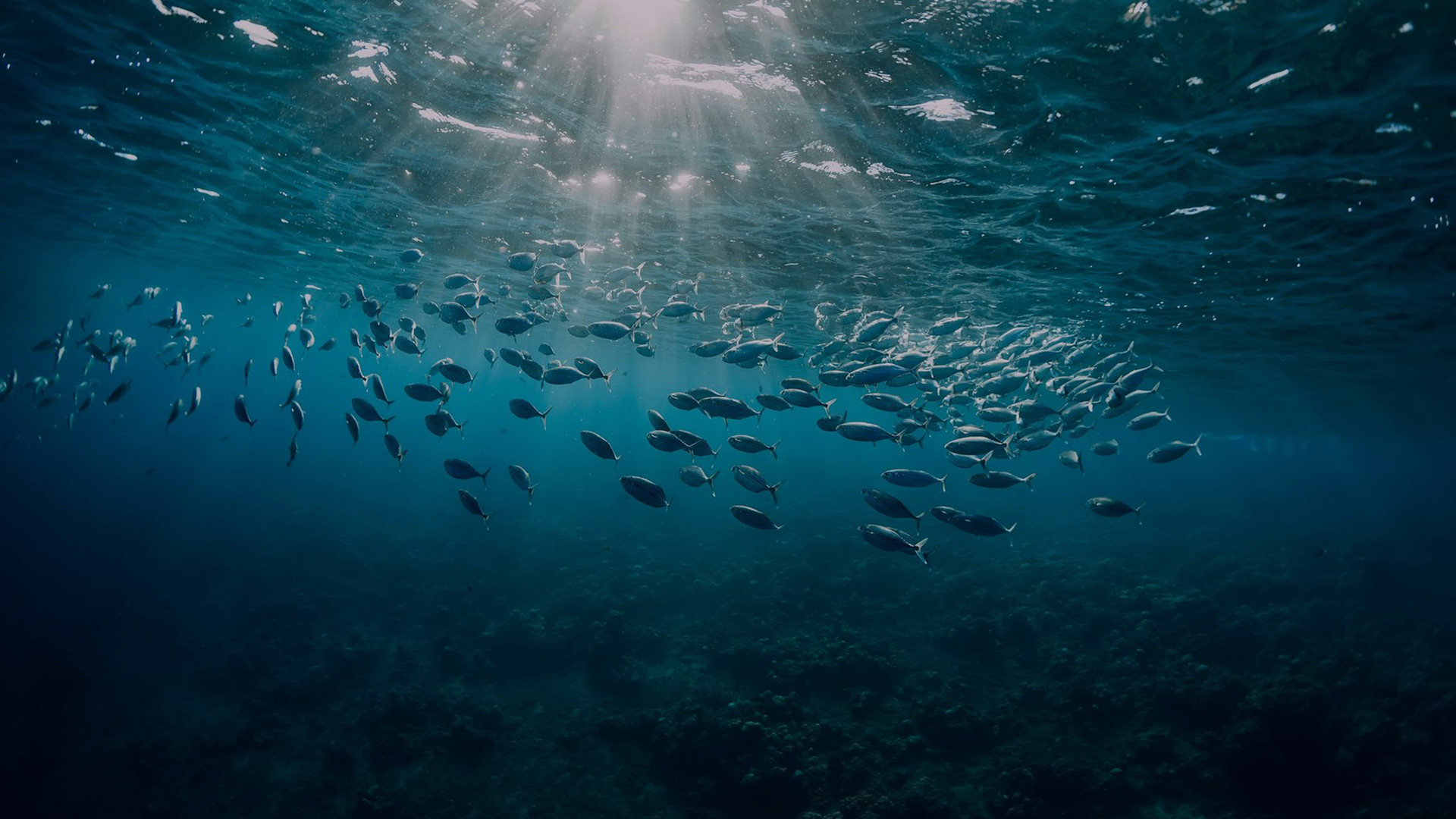 UpLink - World Economic Forum Open Innovation - Accelerate business ...