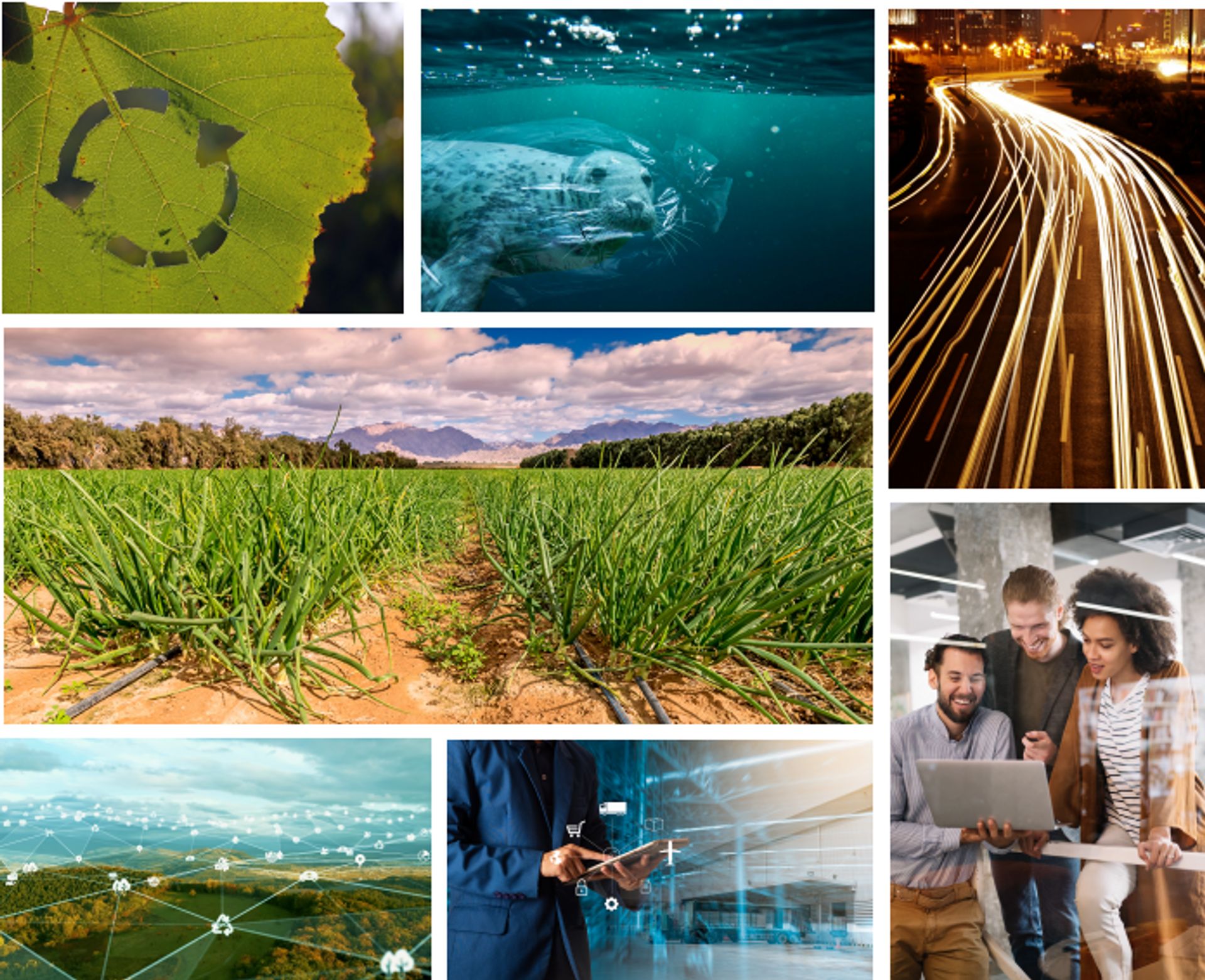 Tonbo Ventures: Scaling and invsting in early stage Israeli Climate ...