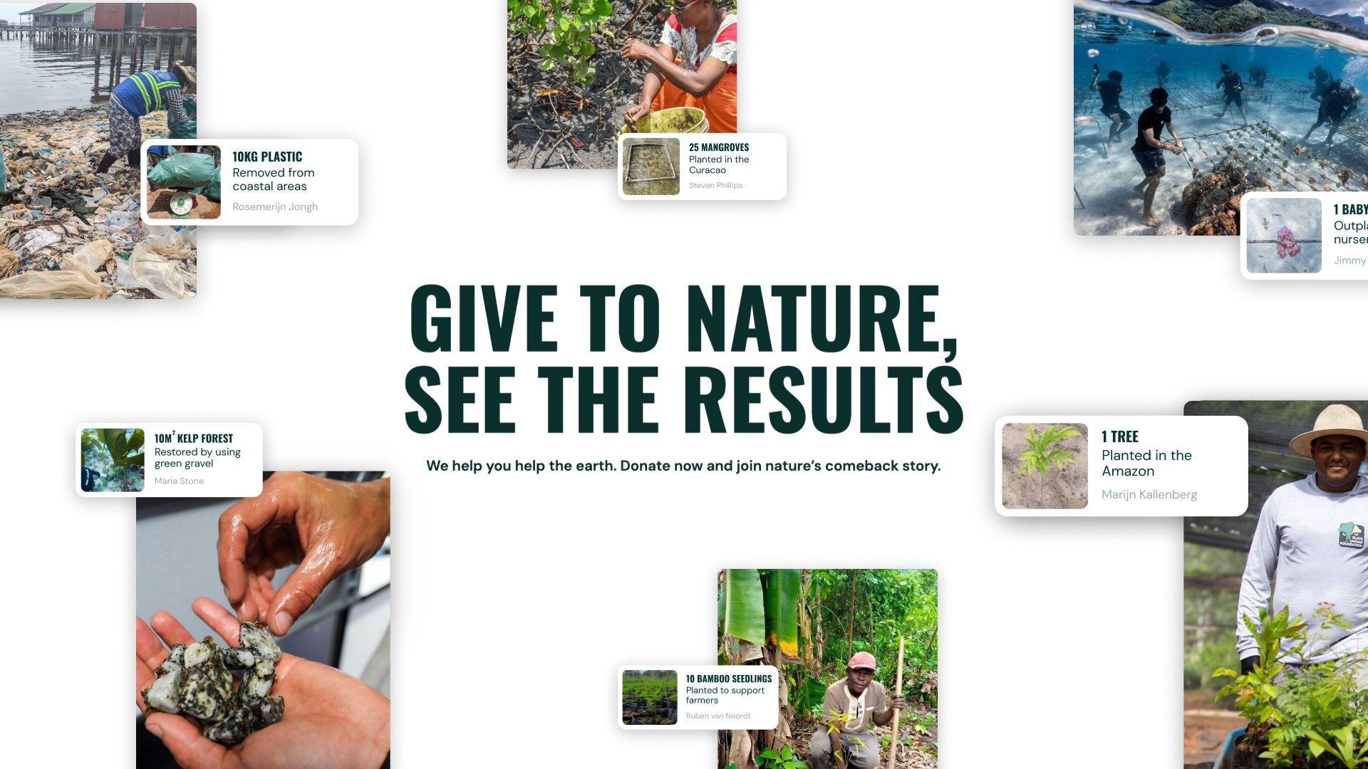 Sumthing: Give to nature & see the results first-hand. Join nature's ...