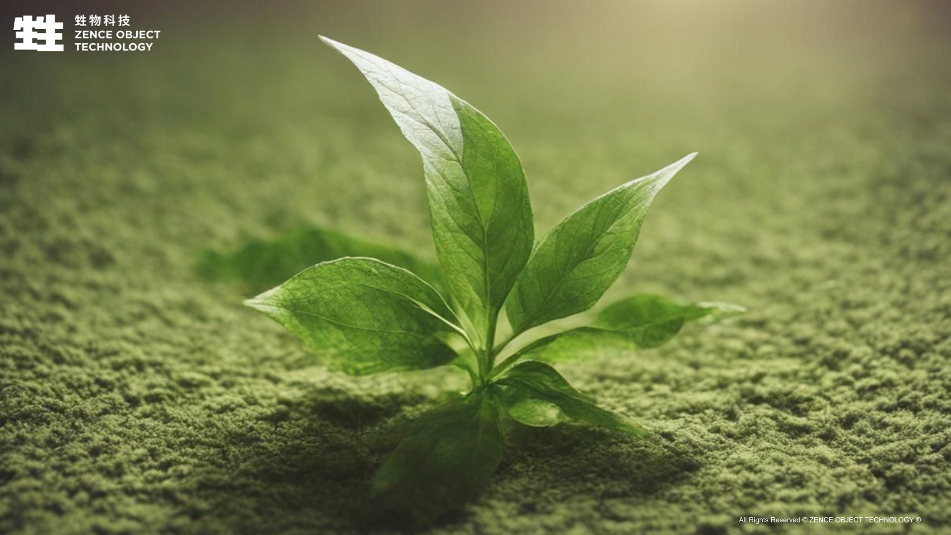 ZENCE OBJECT - UpLink - Contribution