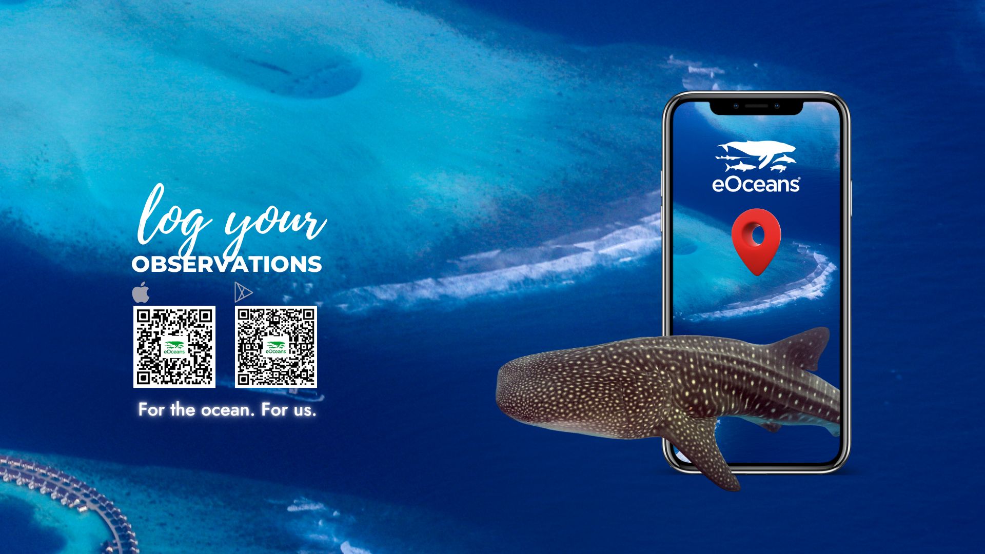 eOceans — Technology to guide a regenerative Blue Economy - UpLink - Contribution