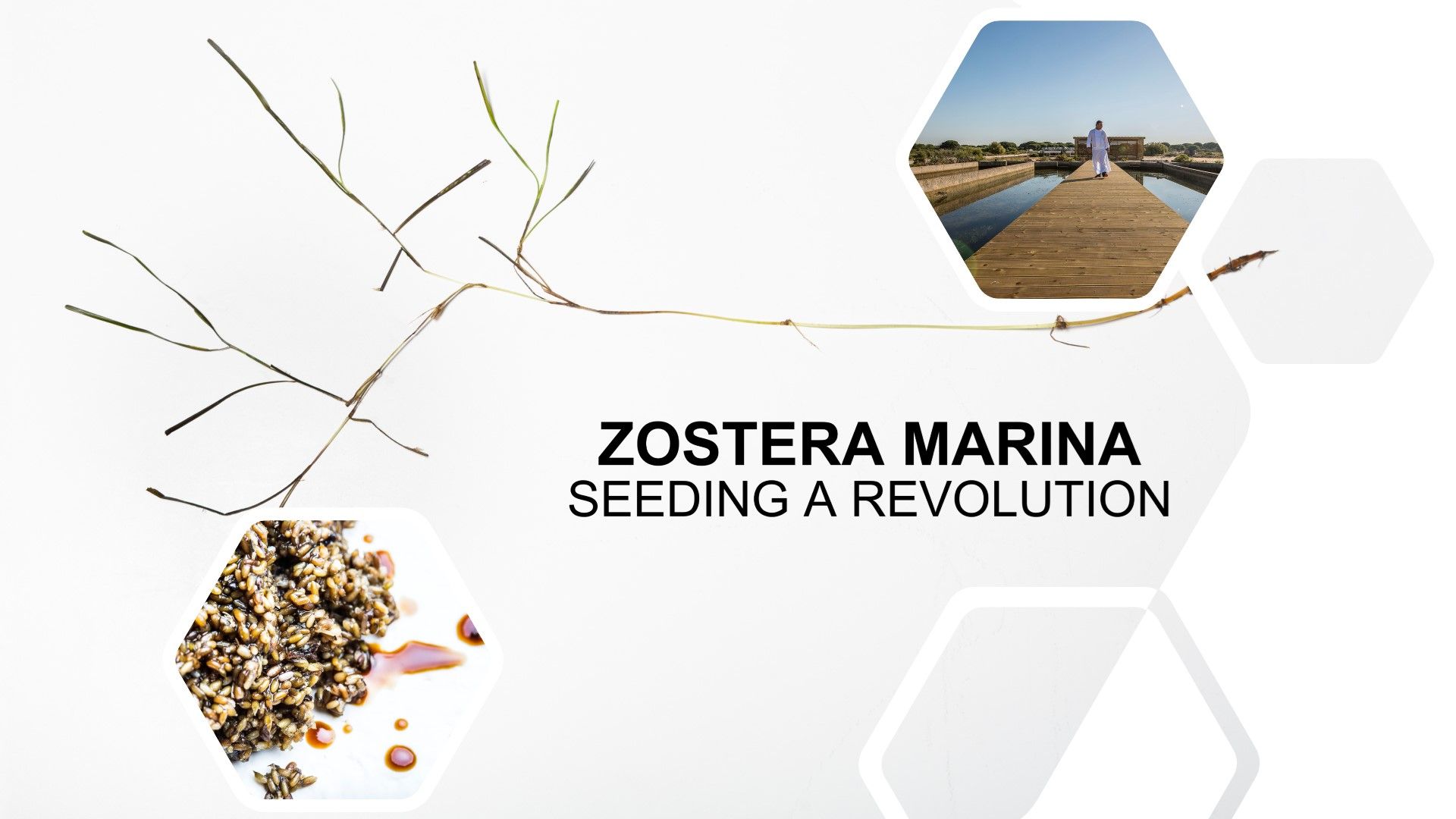 Aponiente's Gastronomic Research Lab and Restaurant - Ángel León ...