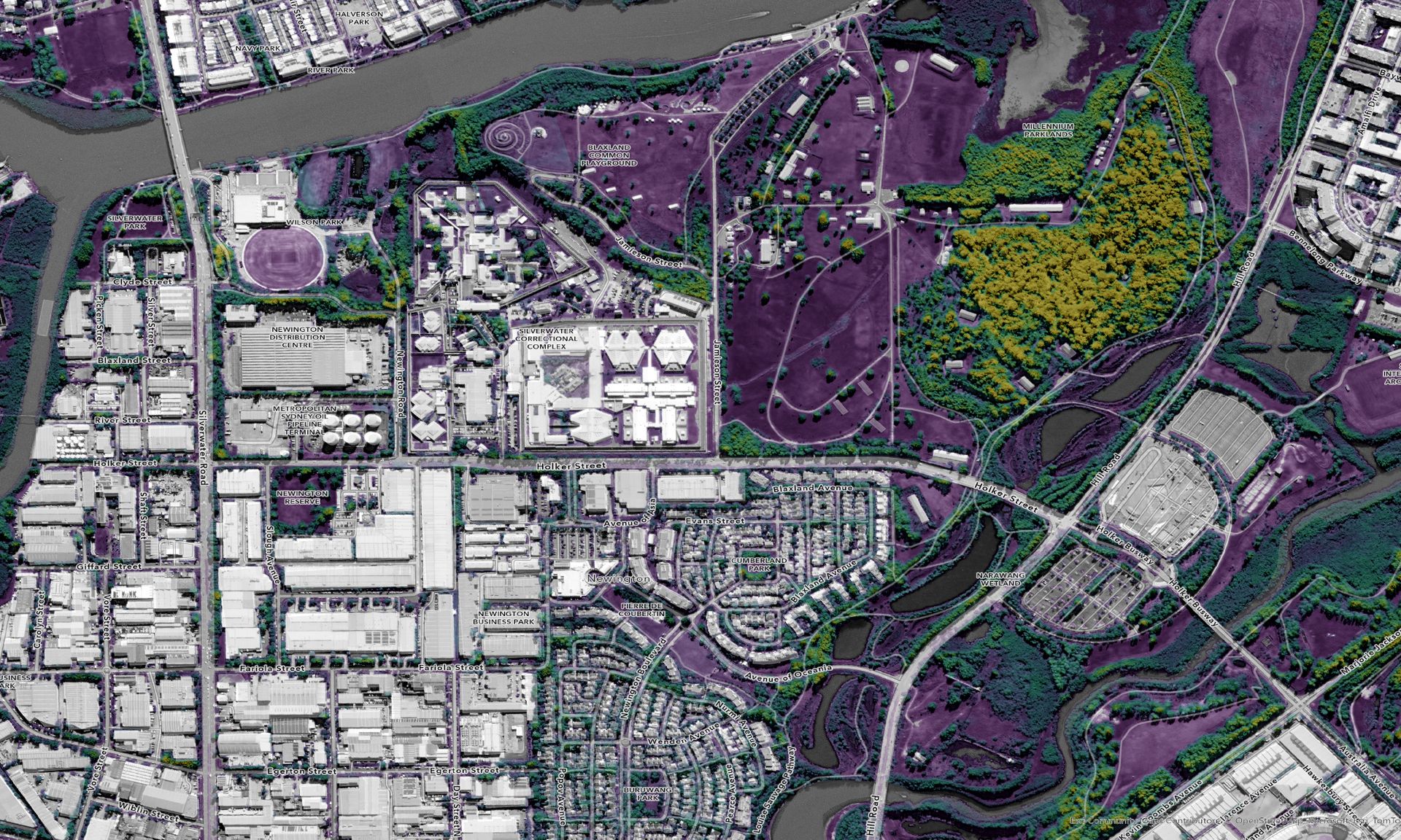 Geoneon: Scale Forest Restoration with Earth Observation and Artificial Intelligence - UpLink ...