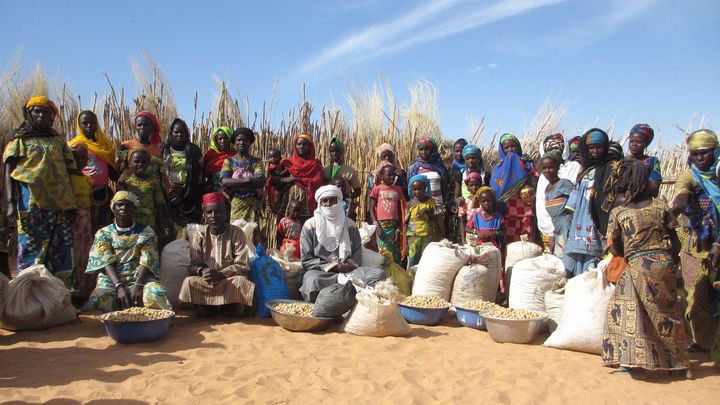 Labousitari: Planting trees in the Great Green Wall in Niger★ - UpLink ...