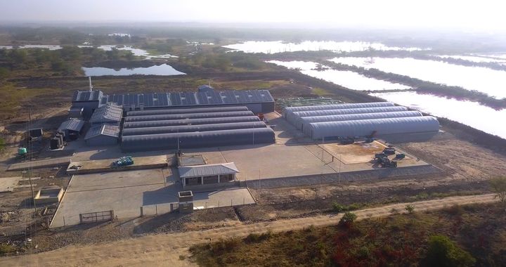 Marula Proteen Limited: Circular Waste-to-Food Systems - UpLink ...