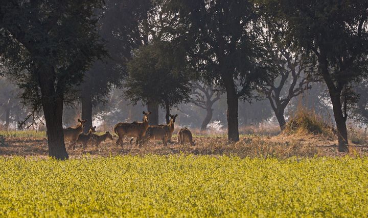 Formal, Integrated & Traceable Solid Waste Management in Bangladesh ...