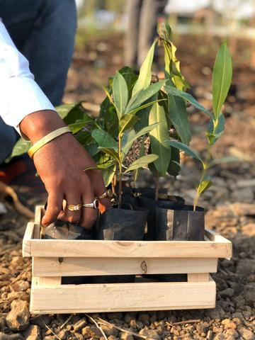 Plastic Fischer GmbH: Plastic Fischer's low-tech River Plastic ...