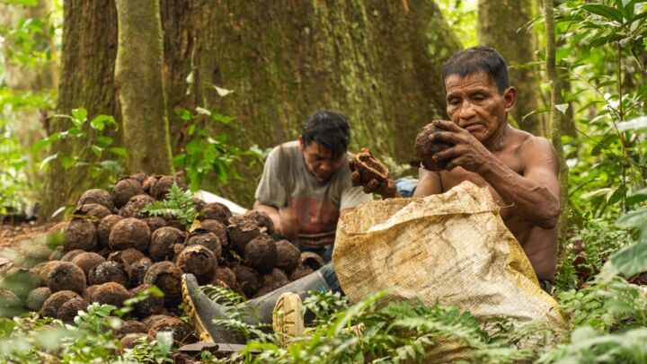 Discover our Top Innovators