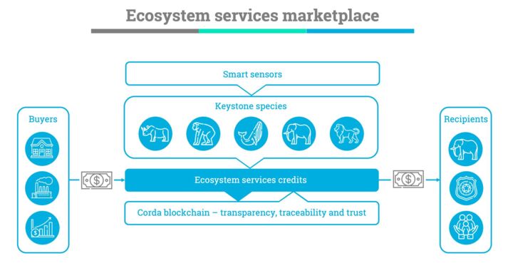 Smart Food Growing Technologies: The SFG Box and App - UpLink ...
