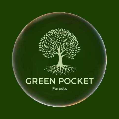 Contribution: Greening urban spaces with ultra-dense forestry