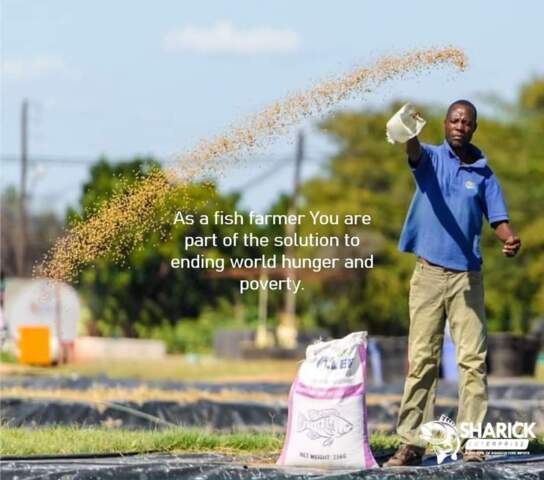 Hello Tractor: Productive and sustainable agriculture within North ...