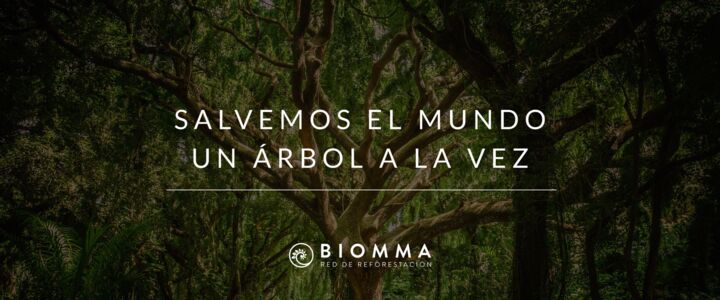 Sustainable Forest Economy Challenge - UpLink - Challenge