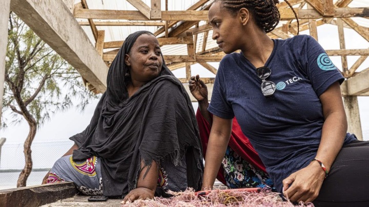 Great Blue Wall Challenge - UpLink - Challenge