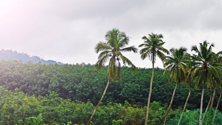 Water Warriors Inc.: Water Warriors: Poseidon Pellets - Phosphorus ...