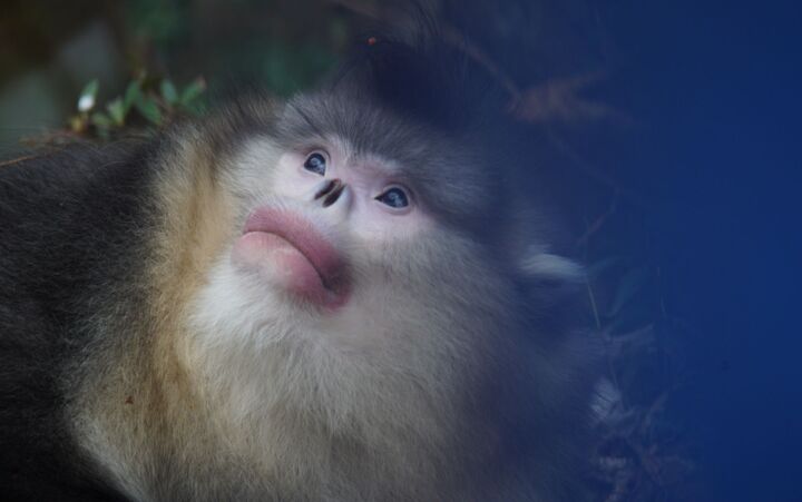 PoonSook.Craft: Waste Cafe' - UpLink - Contribution