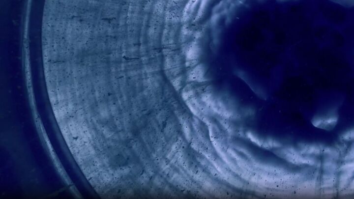 BioFluff: Producing 100% plant-based fur - UpLink - Contribution