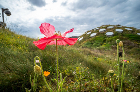 Yes San Francisco, Urban Sustainability Challenge - UpLink - Challenge