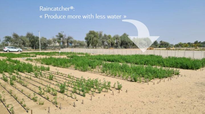 Milagro Investments LTD: Fostering climate smart agriculture through ...