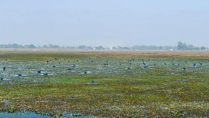 Shower Stream: An IoT motion-activated smart shower system that solves shower water warmup was ...