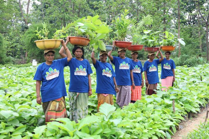 Discover our Top Innovators