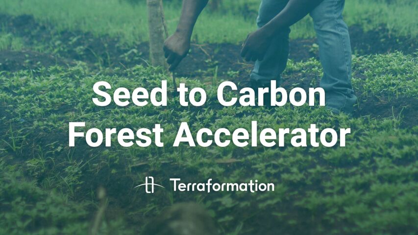 Discover all submissions