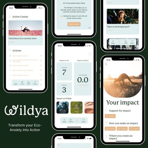 PoonSook.Craft: Waste Cafe' - UpLink - Contribution