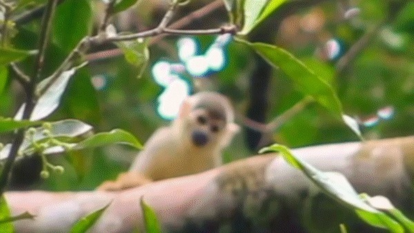 Discover all submissions