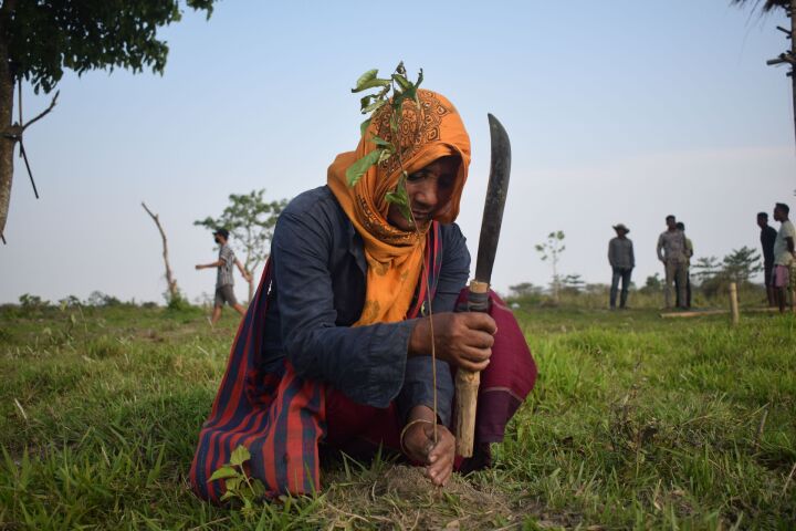 Varaha: Improving Livelihoods of Smallholder farmers via Carbon Finance - UpLink - Contribution
