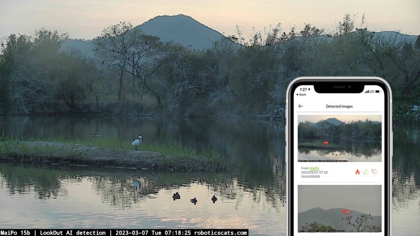 Biodiversity Challenge - UpLink - Challenge