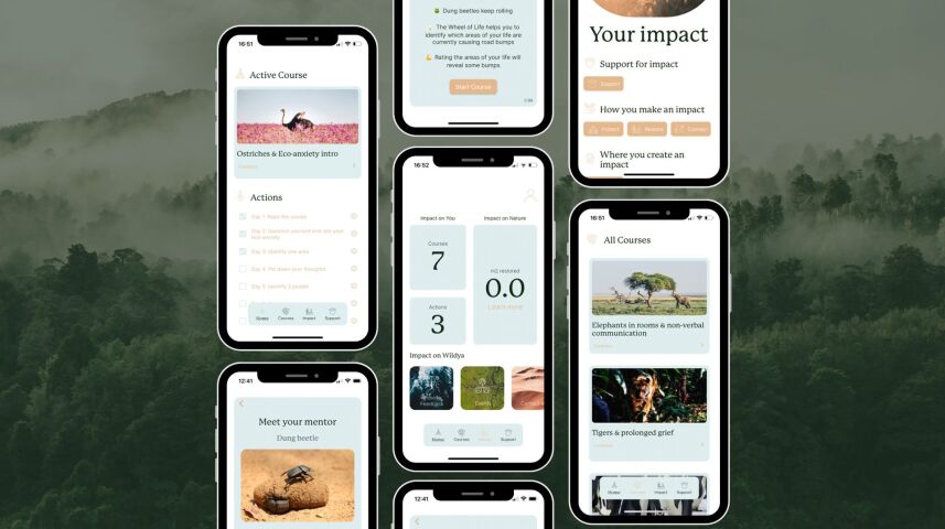 TreeTrack Intelligence Inc.: Fast and Effective Drone Reforestation - UpLink - Contribution